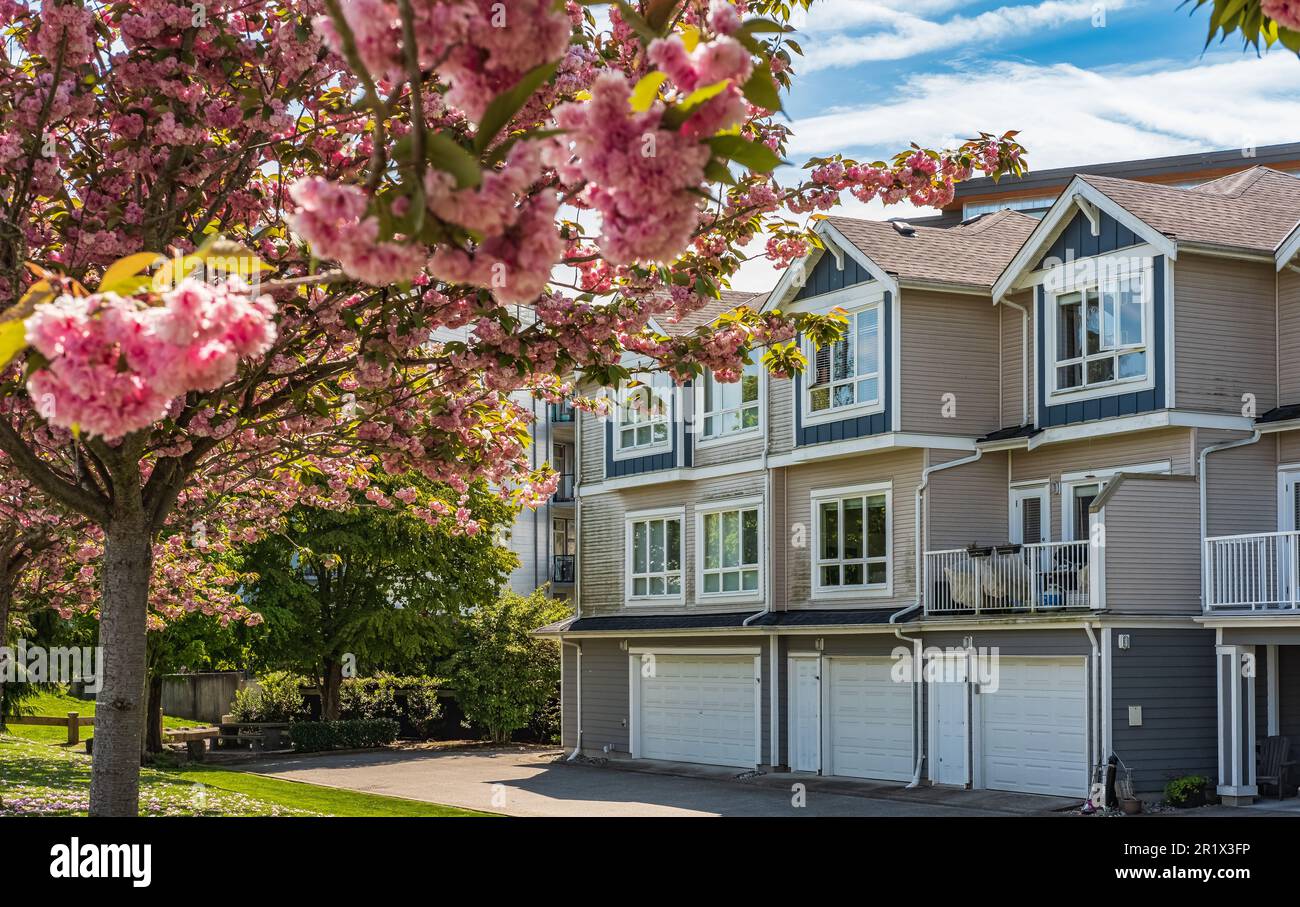 Nice neighborhood on a sunny day. Row of garage doors at parking area ...