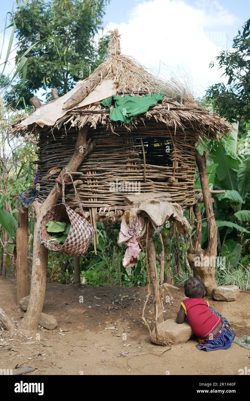 Young child plays on the floor below a raised chicken hut in an ...