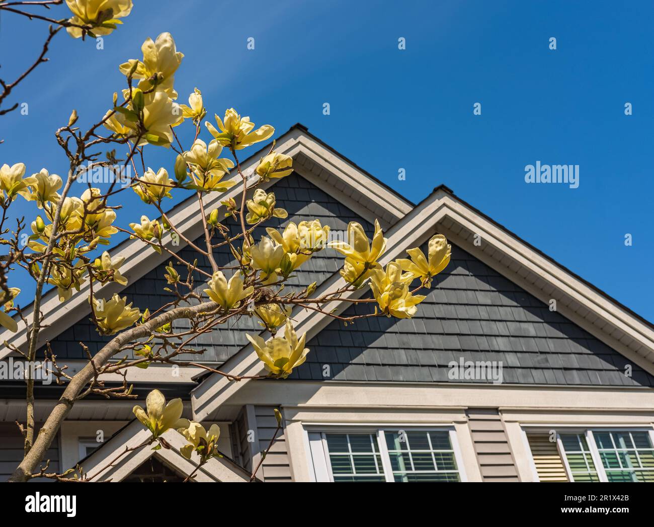 Houses in suburb in the north America. Top of a house with nice windows ...