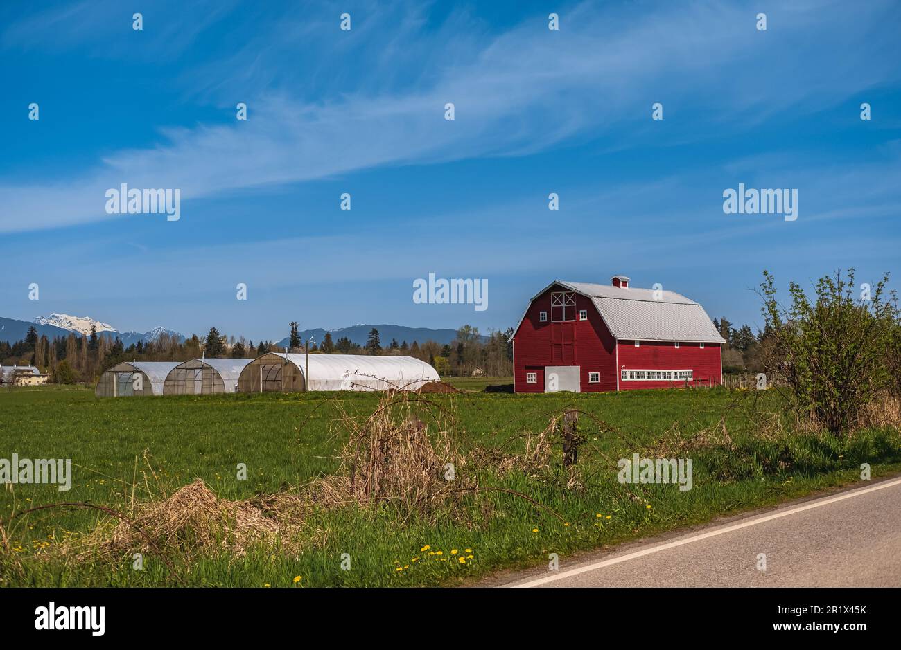 Agriculture Landscape With Old Red Barn and blue sky. Countryside ...