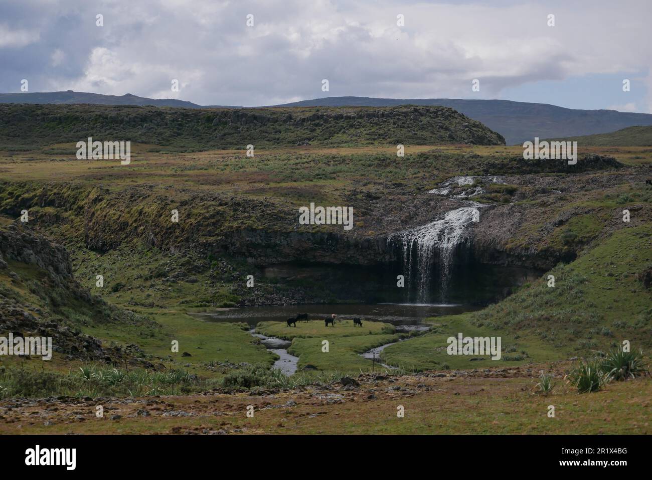 Landscape: stream and waterfall in the mountains of Bale National Park ...