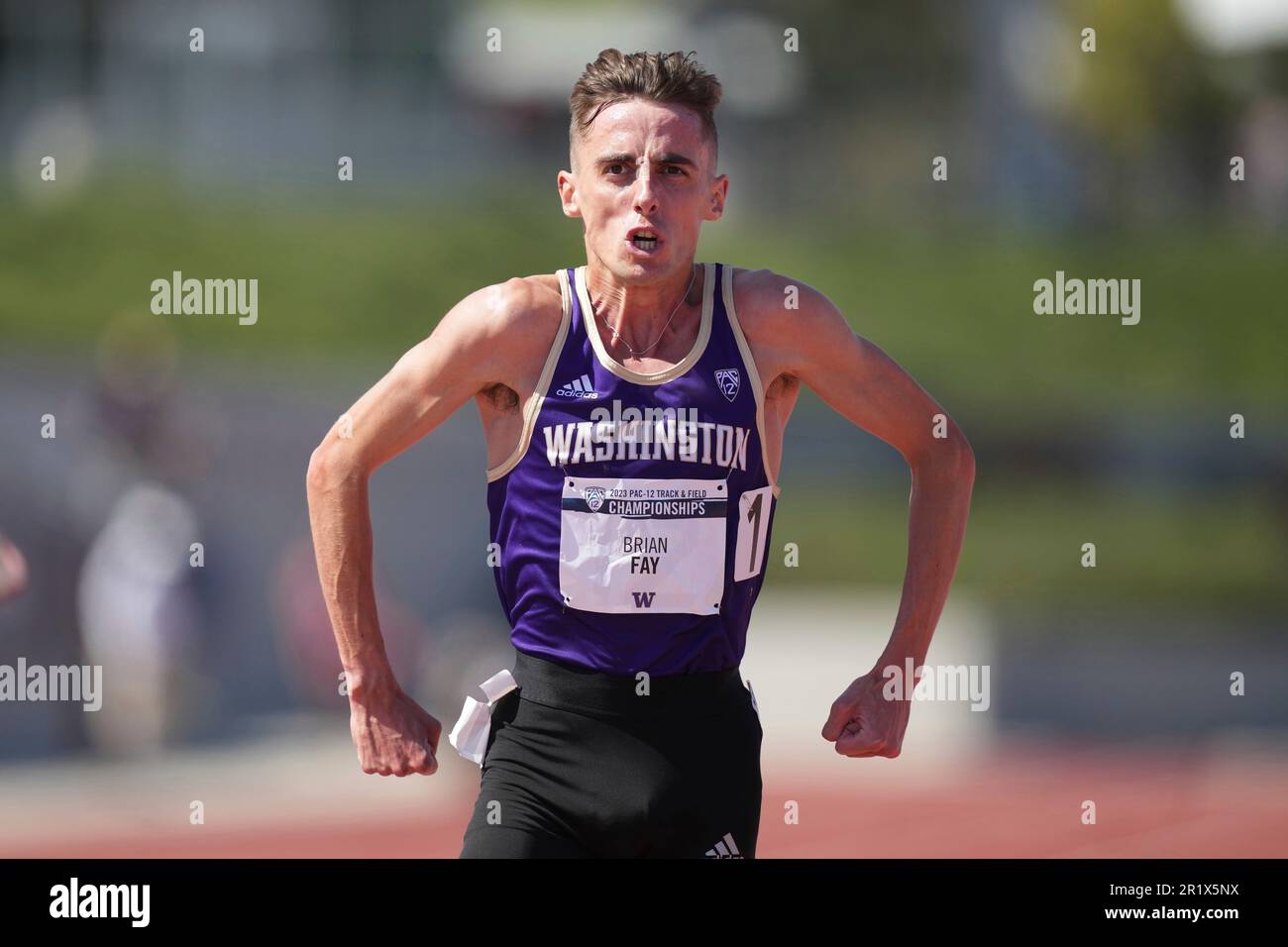 Brian Fay of Washington celebrates after winning the 5,000m in 14:08.03 ...