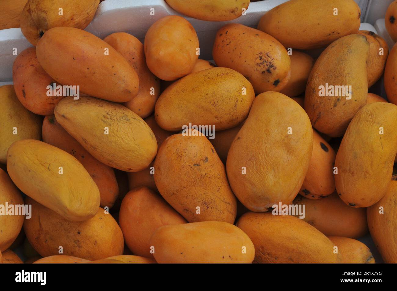 Mangos mexico hi-res stock photography and images - Alamy