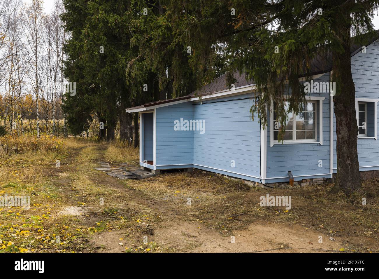 Small cozy blue house in the forest under tree Stock Photo - Alamy