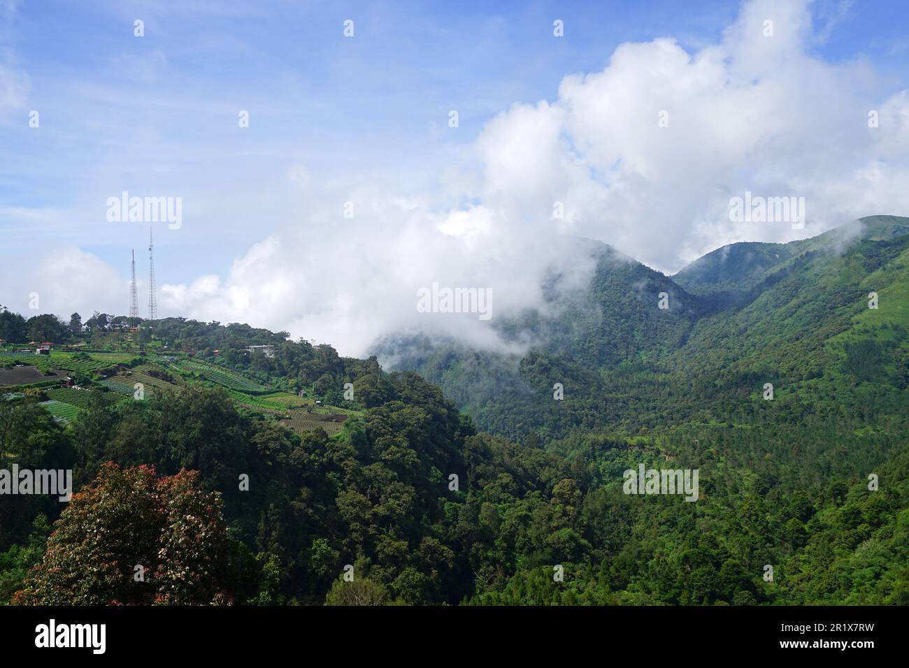 Cemoro Kandang Hills, Tawangmangu, Magetan, East Java, Indonesia Stock ...