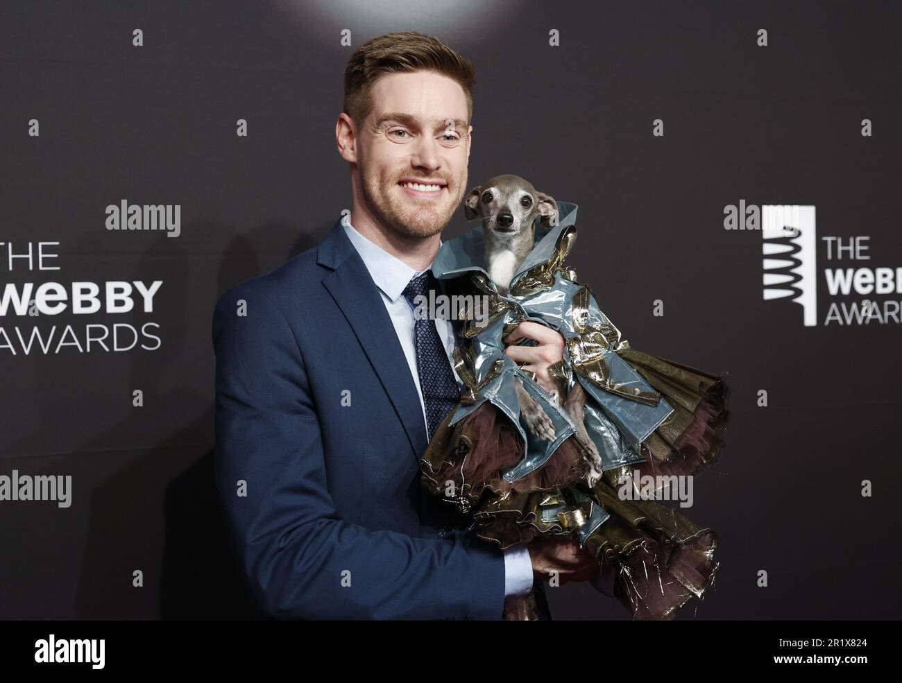 Tika the iggy hi-res stock photography and images - Alamy