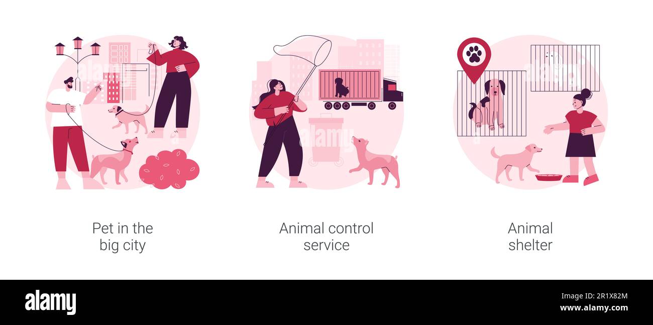 Urban pets abstract concept vector illustration set. Pet in the big ...