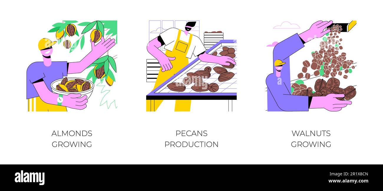 Growing nuts isolated cartoon vector illustrations set. Farmer picking ...