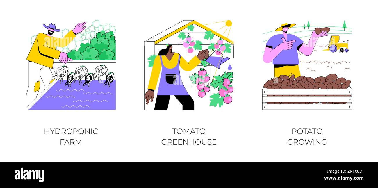 Vegetable industry isolated cartoon vector illustrations set ...