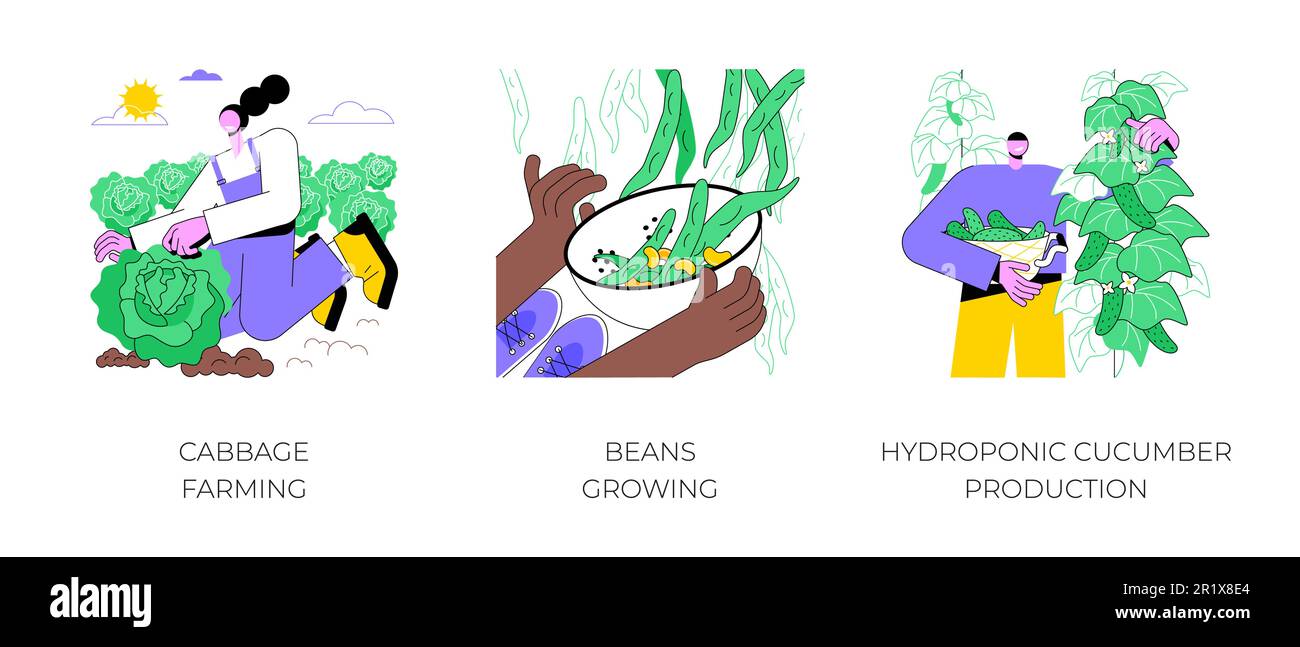 Growing vegetables isolated cartoon vector illustrations set. Farmer ...