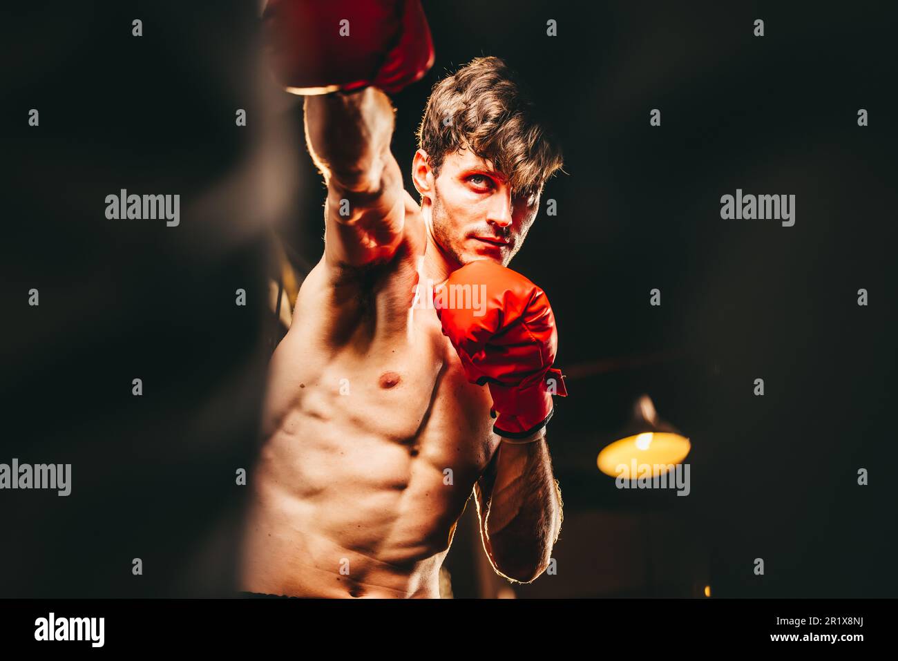 Quality boxers hi-res stock photography and images - Alamy