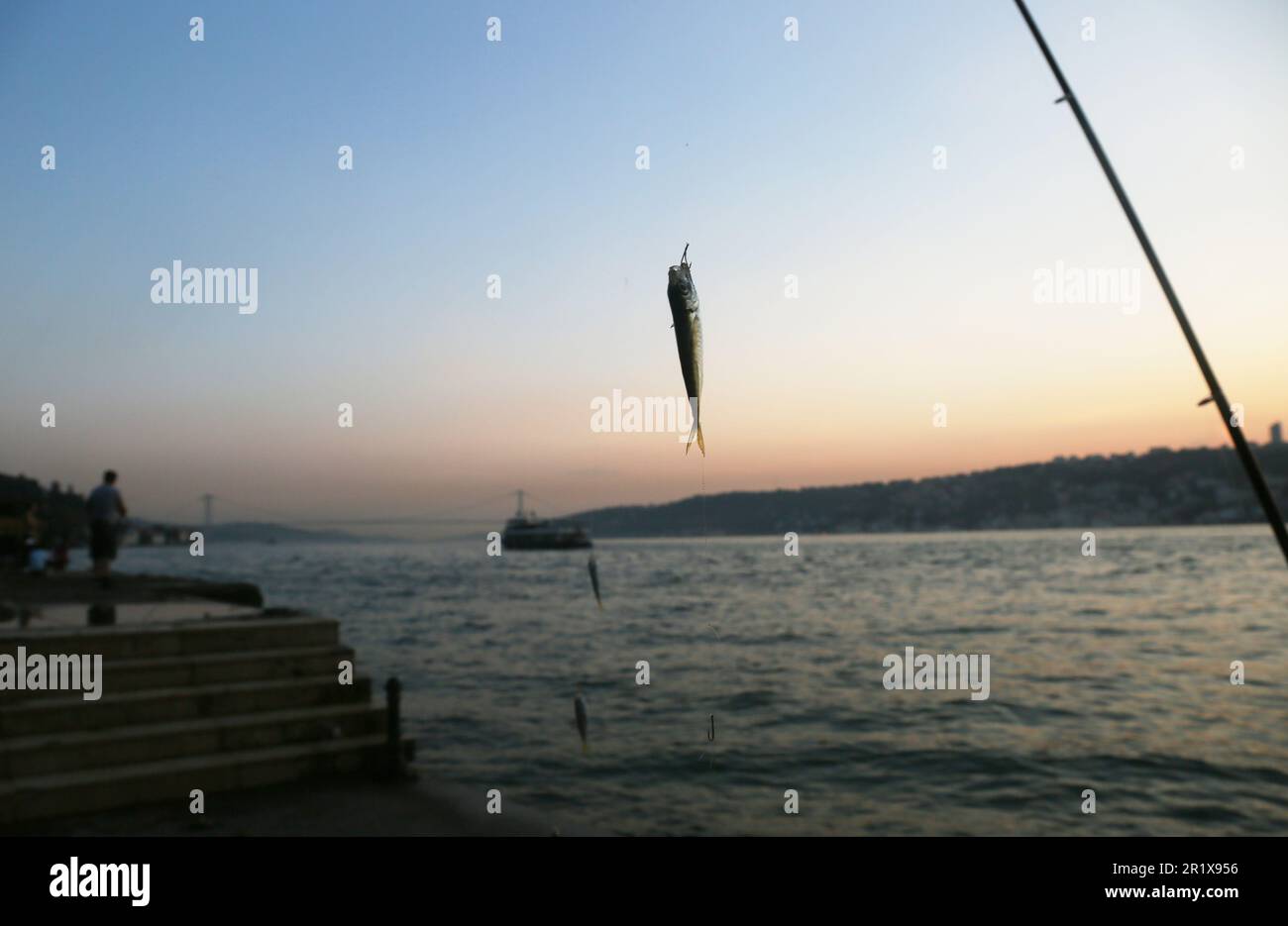 Fish market bosphorus istanbul turkey hi-res stock photography and ...
