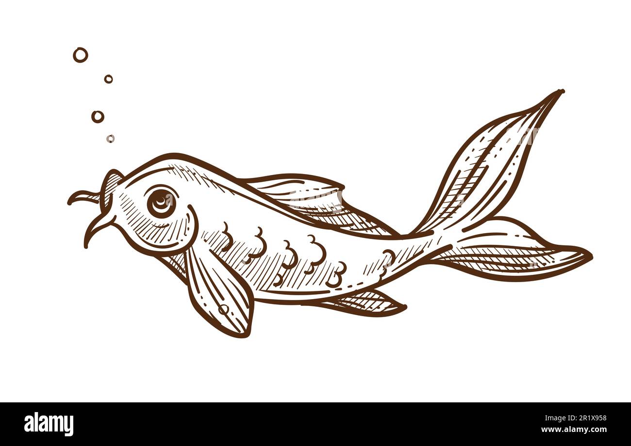Fish breathing out bubbles, catfish or sheatfish isolated sketch Stock ...