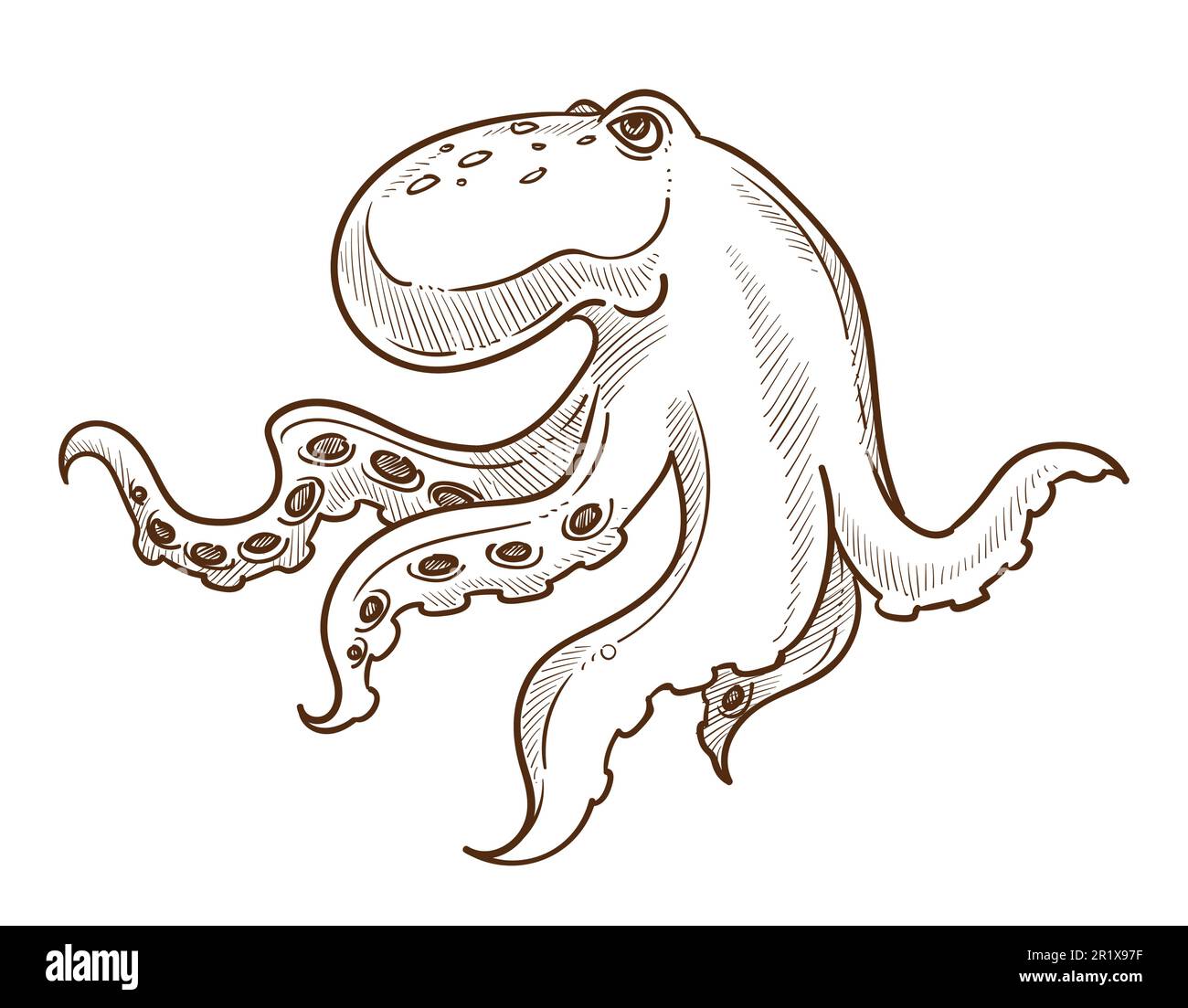 Underwater animal, octopus isolated sketch, marine creature Stock ...