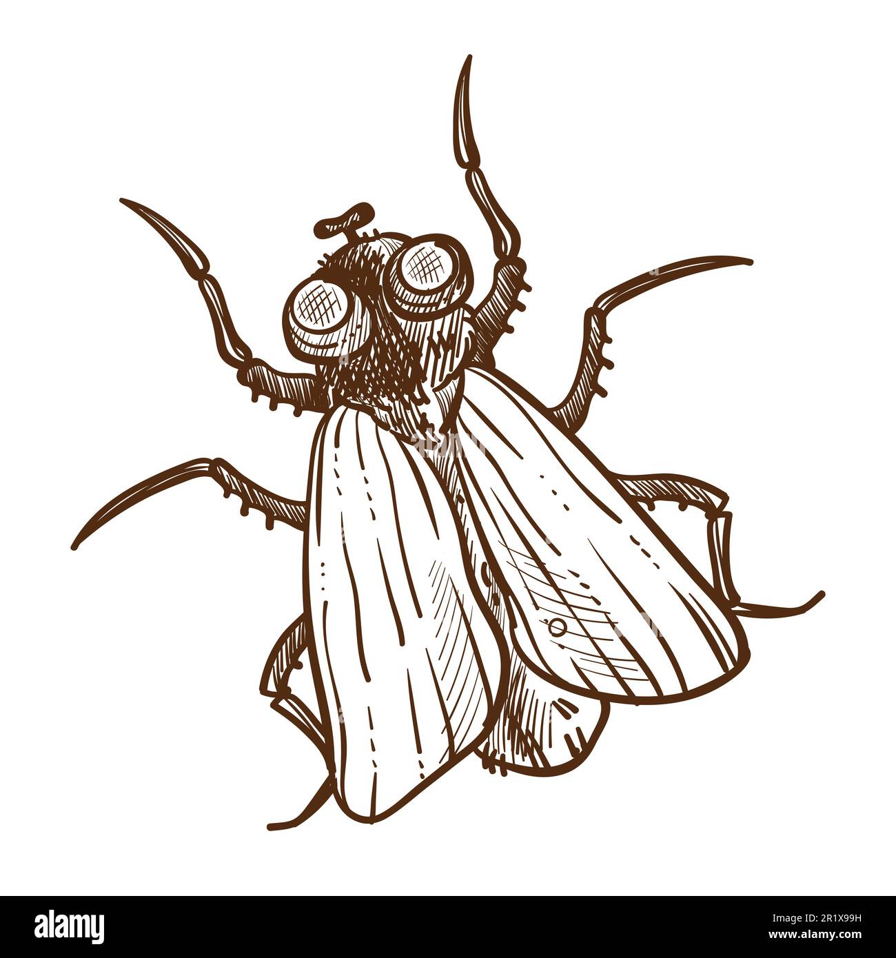 Tsetse fly bite Stock Vector Images - Alamy