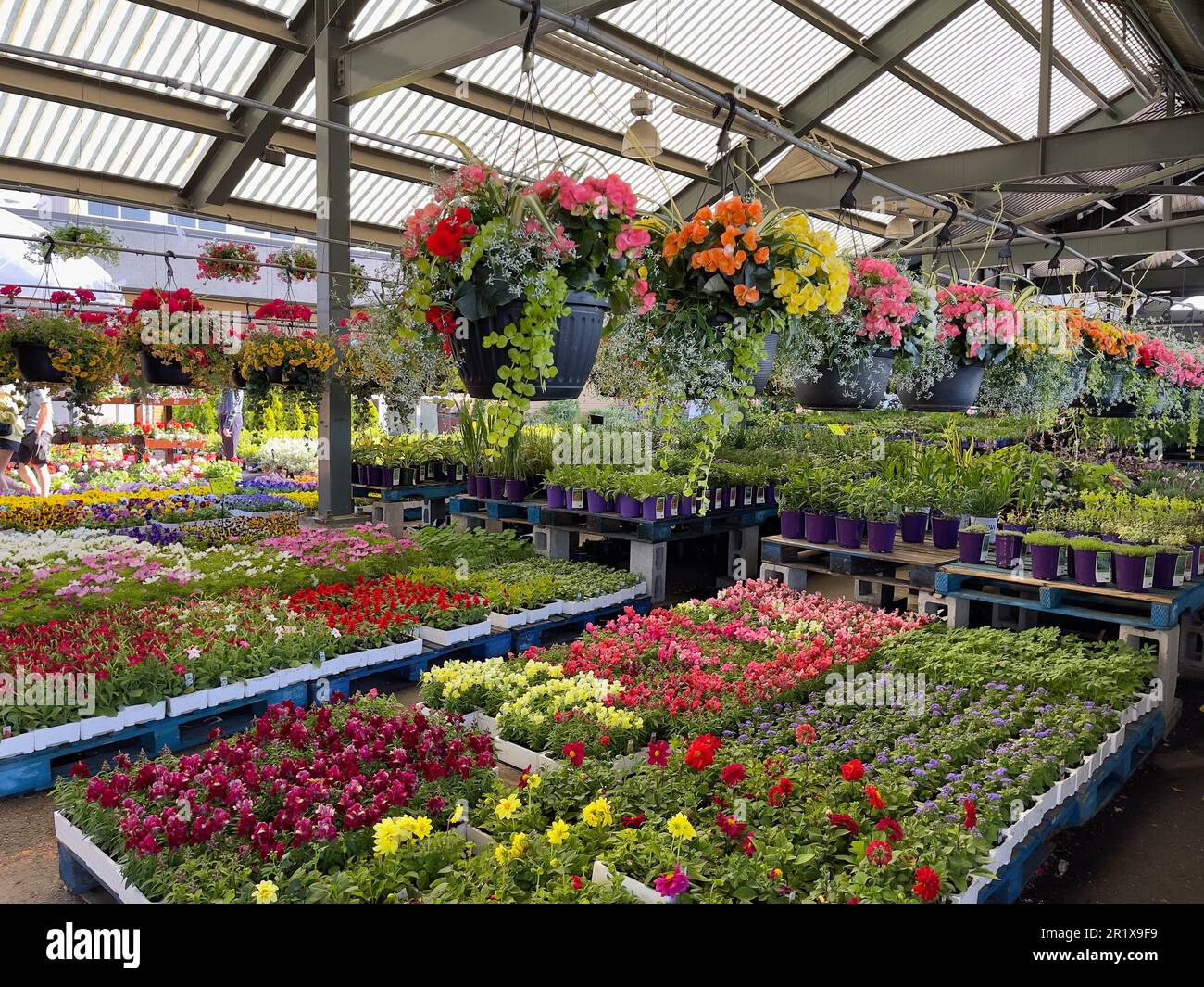 Spring Flower and Plant Market Stock Photo - Alamy