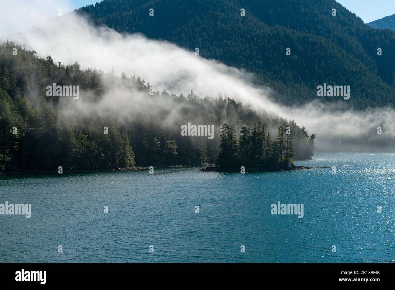 Islands landscape with pine and cedar trees forest, Inside Passage ...