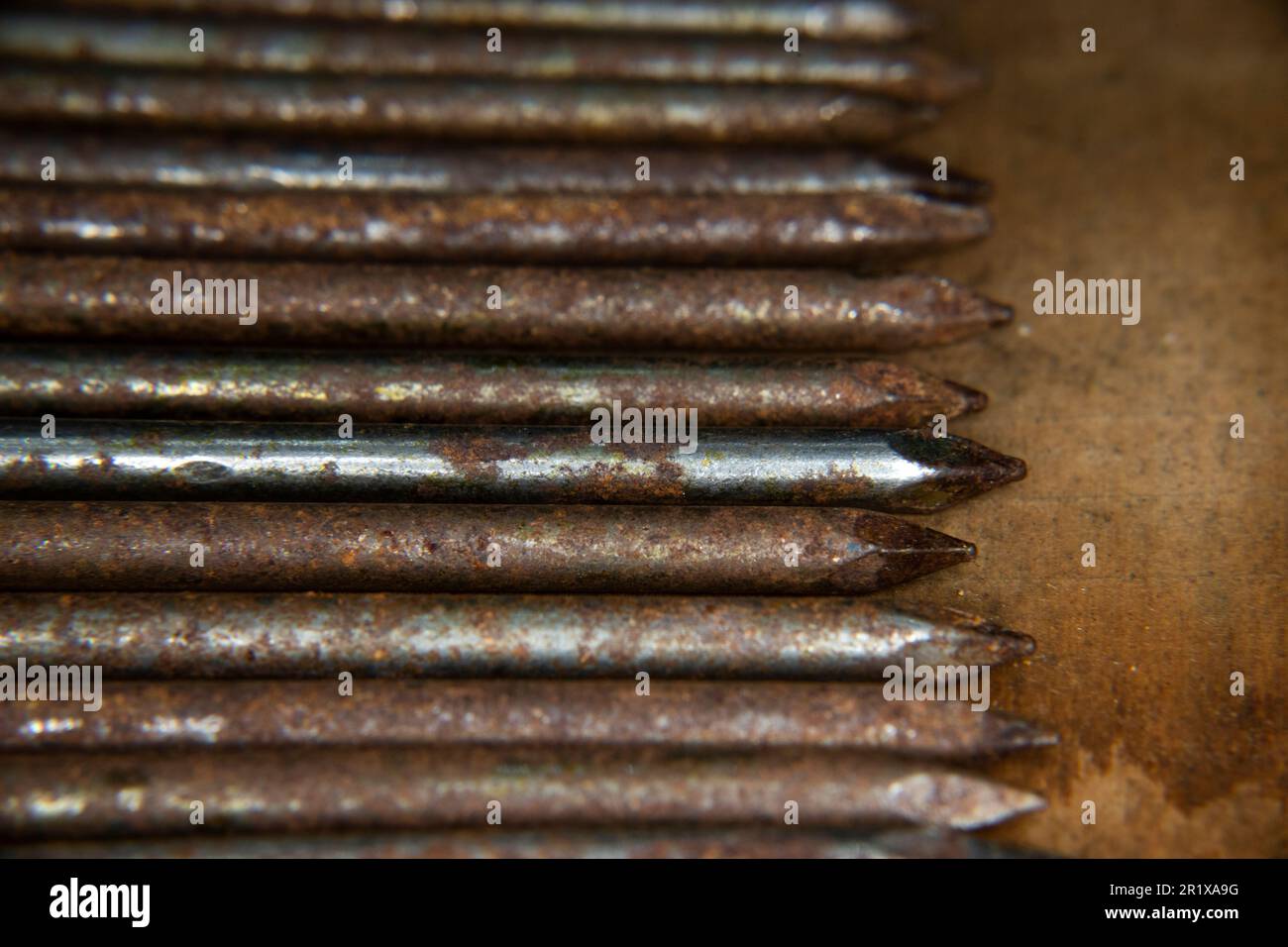 old rusty, 16 penny nails, line of sharp heavy penny nail points for ...