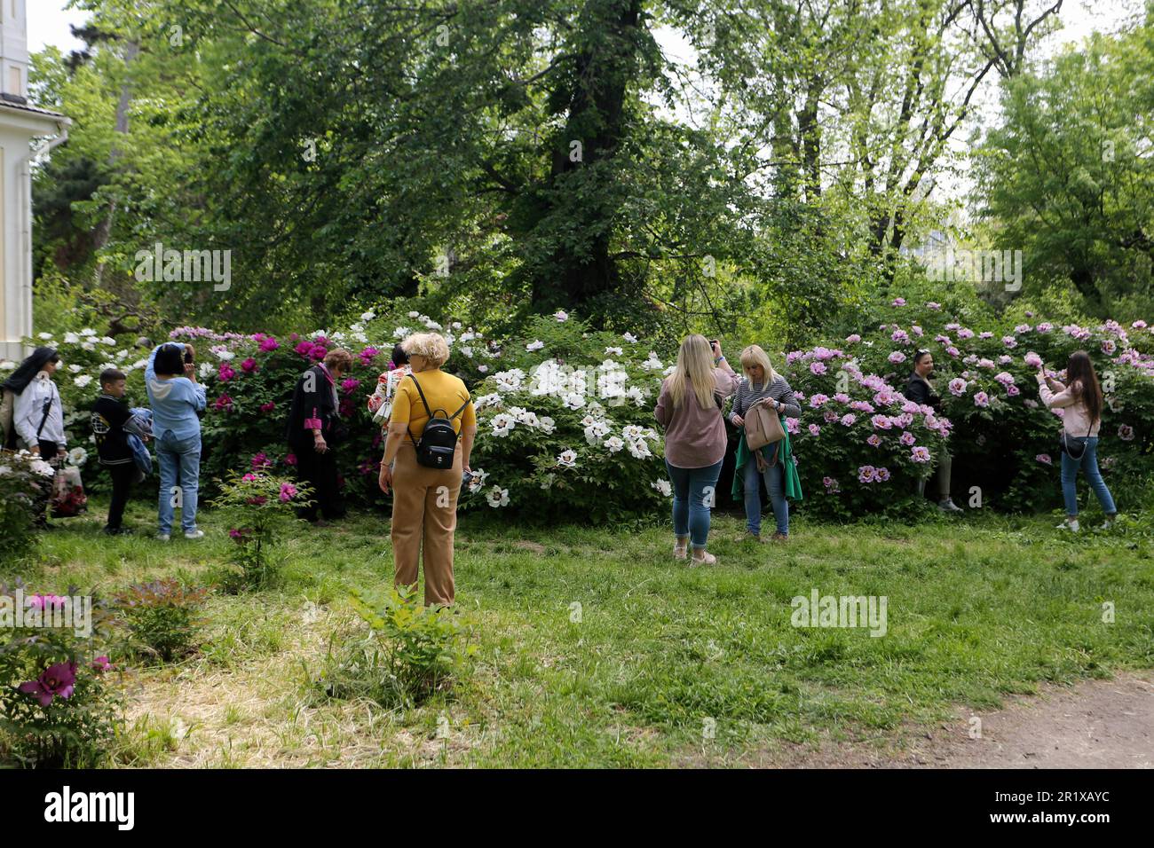 People take photos near the flowering plants at the Odessa Botanical ...