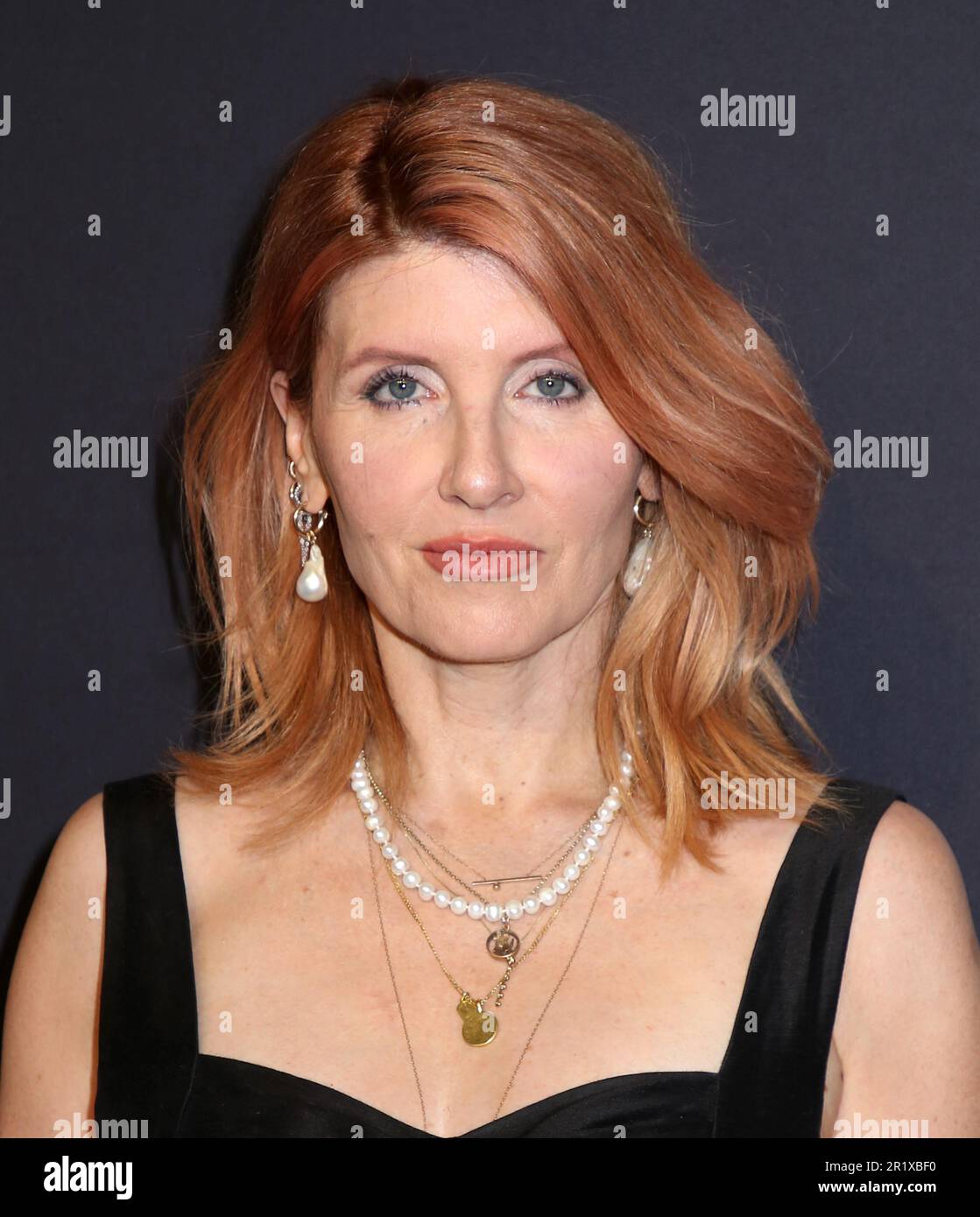 New York City, USA. 15th May, 2023. Sharon Horgan attending the 27th ...