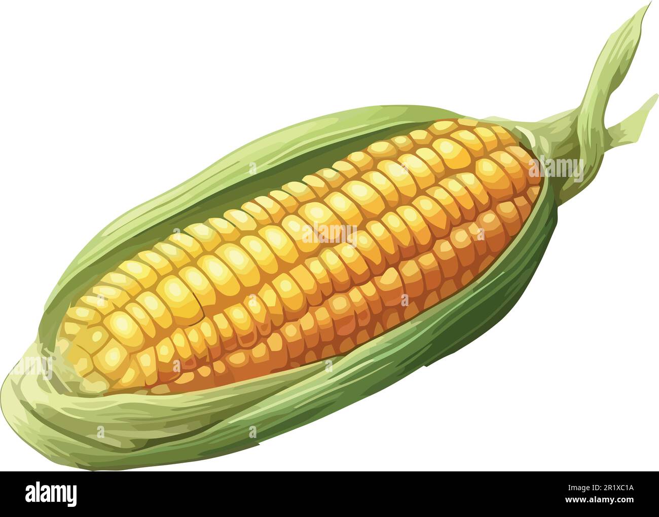 Harvesting sweetcorn Stock Vector Images - Alamy