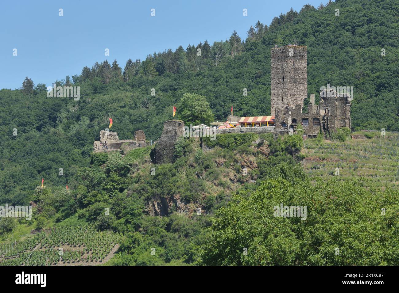 Ruins metternich castle ruins hi-res stock photography and images - Alamy