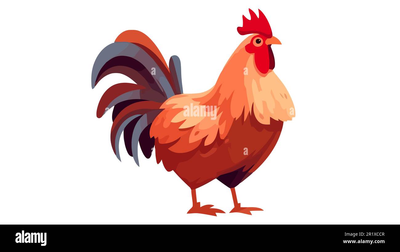 Colorful rooster, poultry farming vector Illustration on a white ...