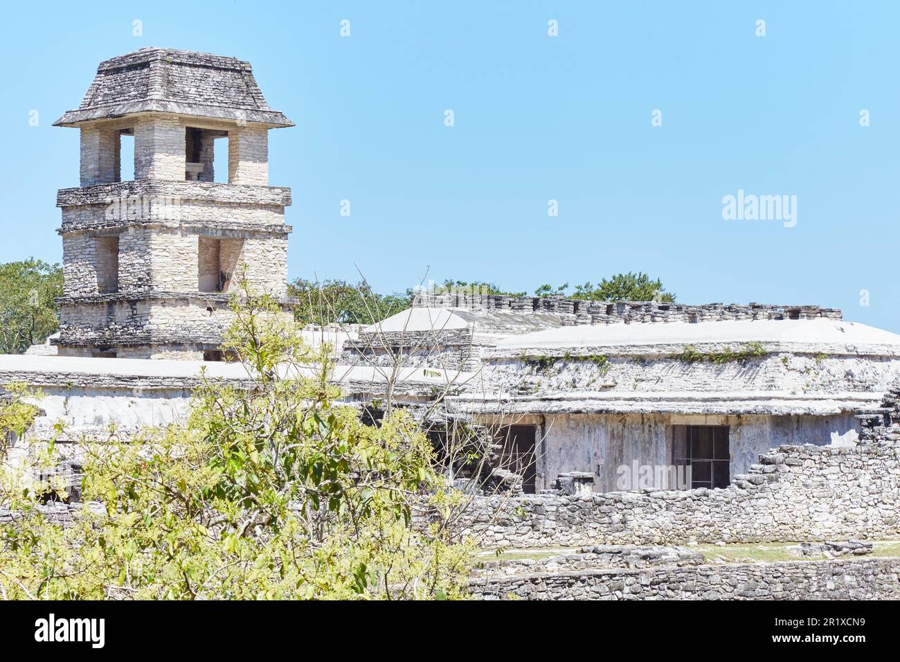 The stunning jungle ruins of Chiapas, Mexico was one of the greatest ...