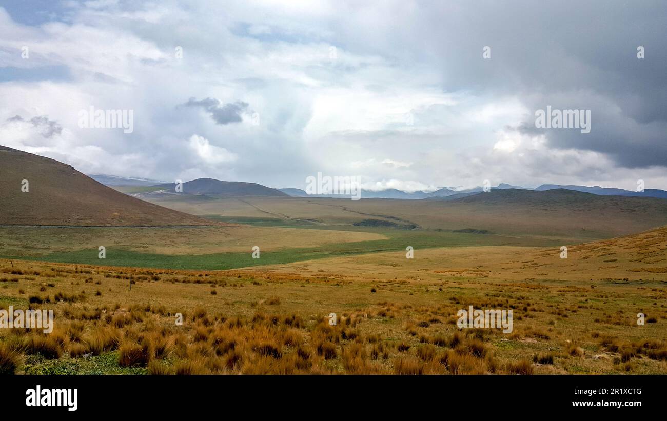 In the wide-open spaces of northern Ecuador, the Páramo is an alpine ...