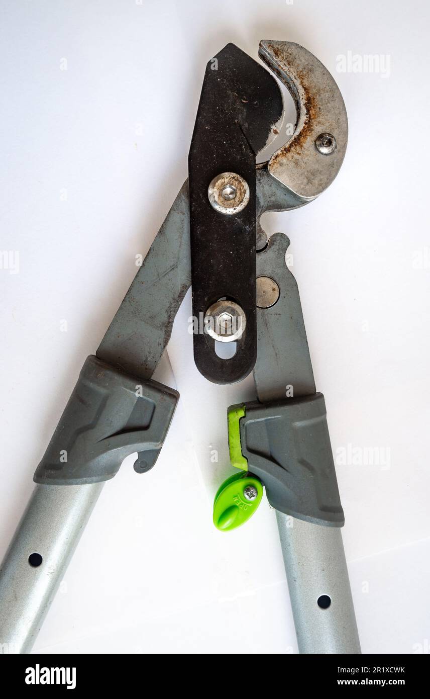 Long handle garden tree branch shears trimmer, pruner, cutter, secateur ...