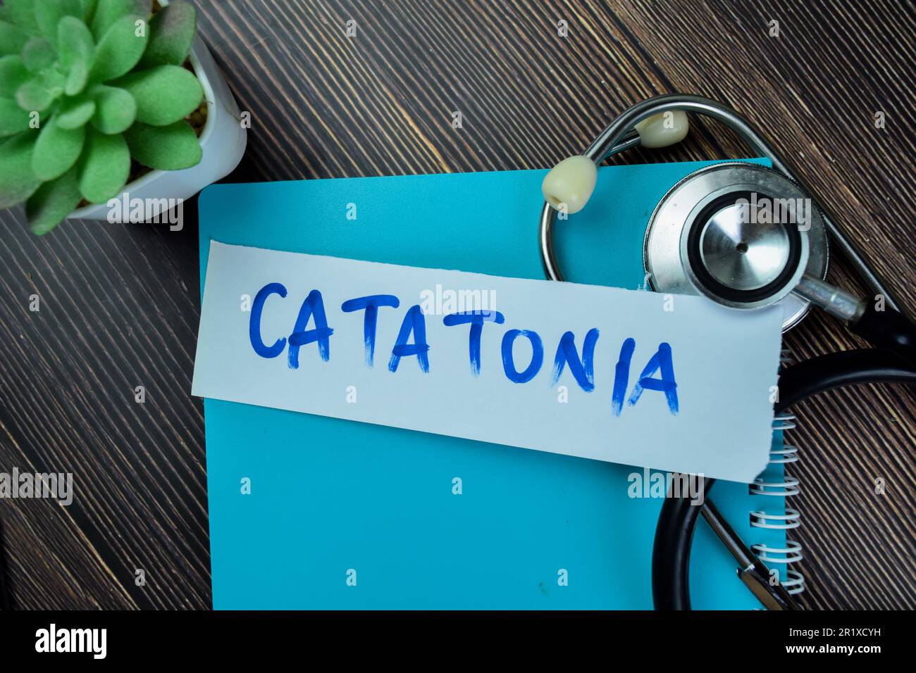 Catatonic Schizophrenia Face