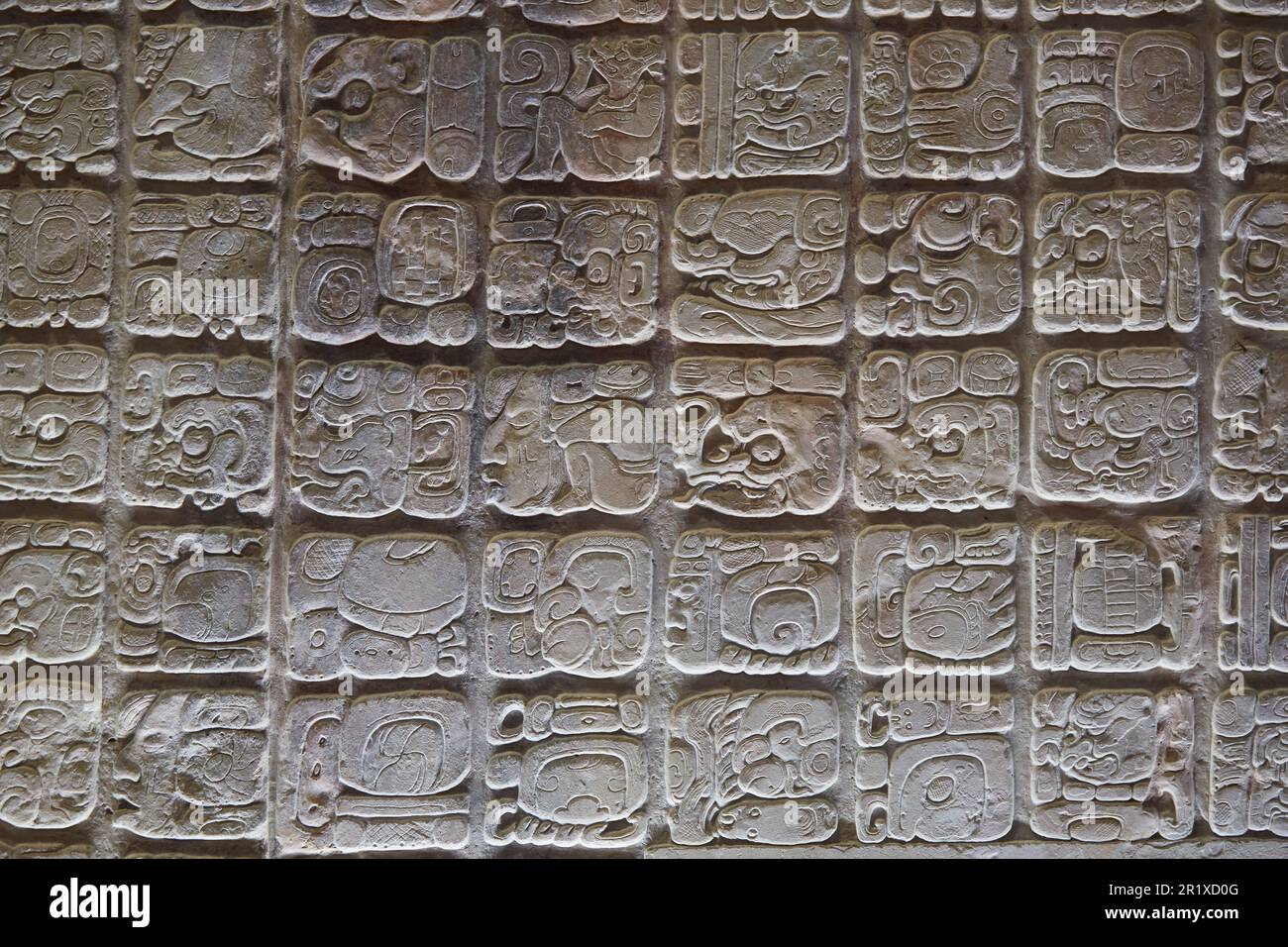 The stunning jungle ruins of Chiapas, Mexico was one of the greatest ...