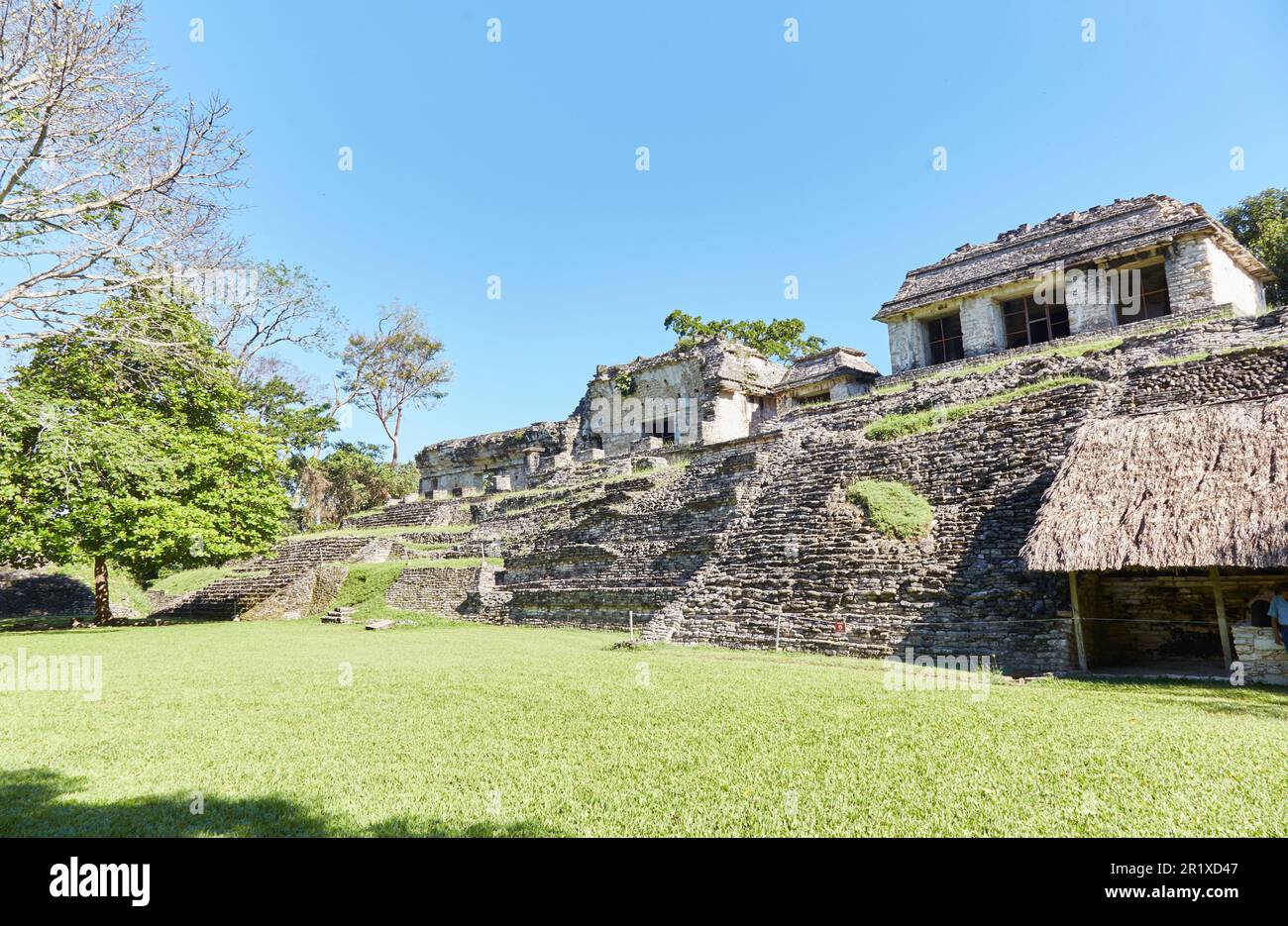 The stunning jungle ruins of Chiapas, Mexico was one of the greatest ...