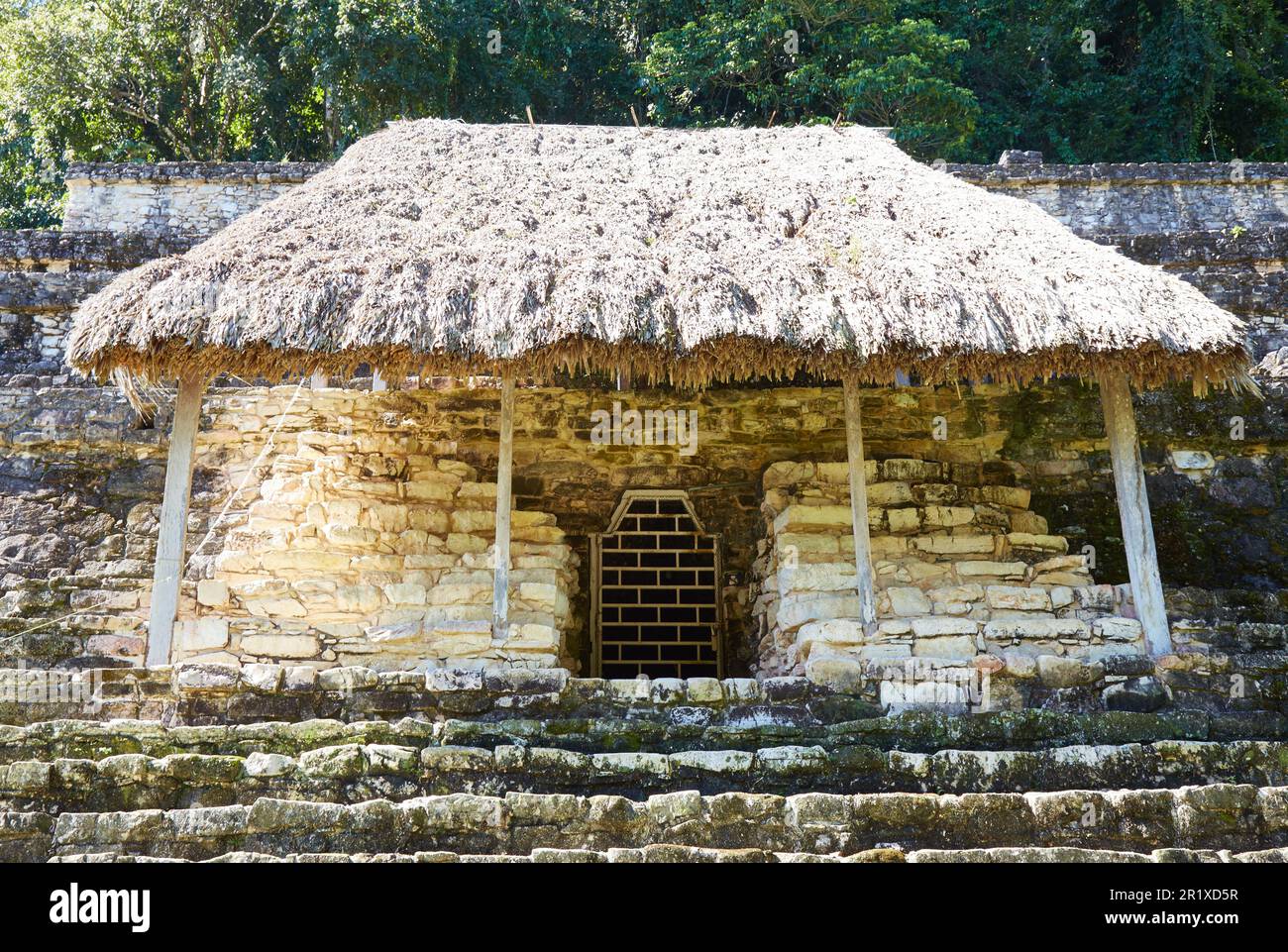 The stunning jungle ruins of Chiapas, Mexico was one of the greatest ...