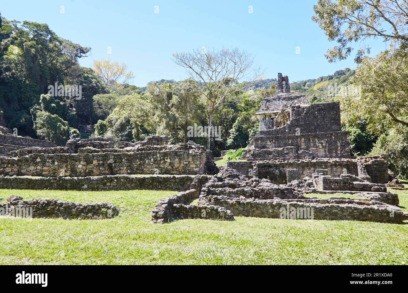 The stunning jungle ruins of Chiapas, Mexico was one of the greatest ...