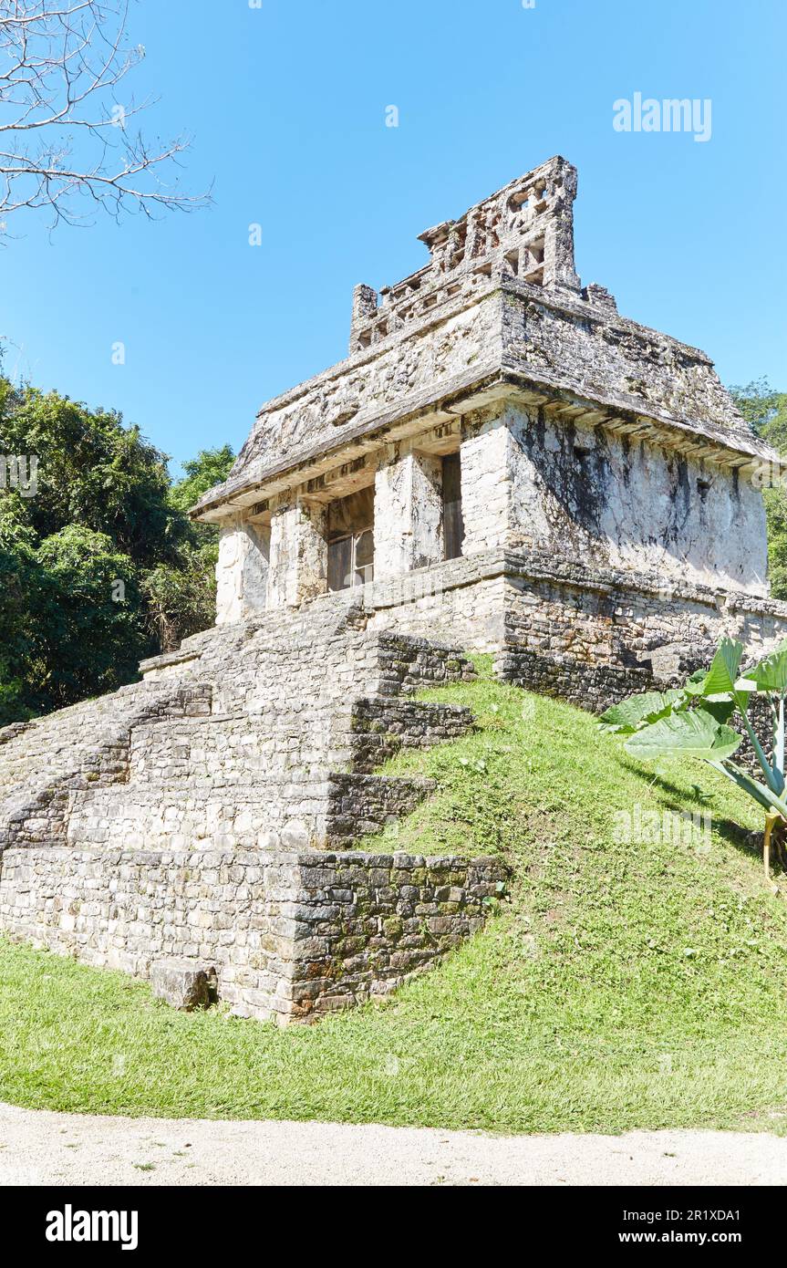 The stunning jungle ruins of Chiapas, Mexico was one of the greatest ...