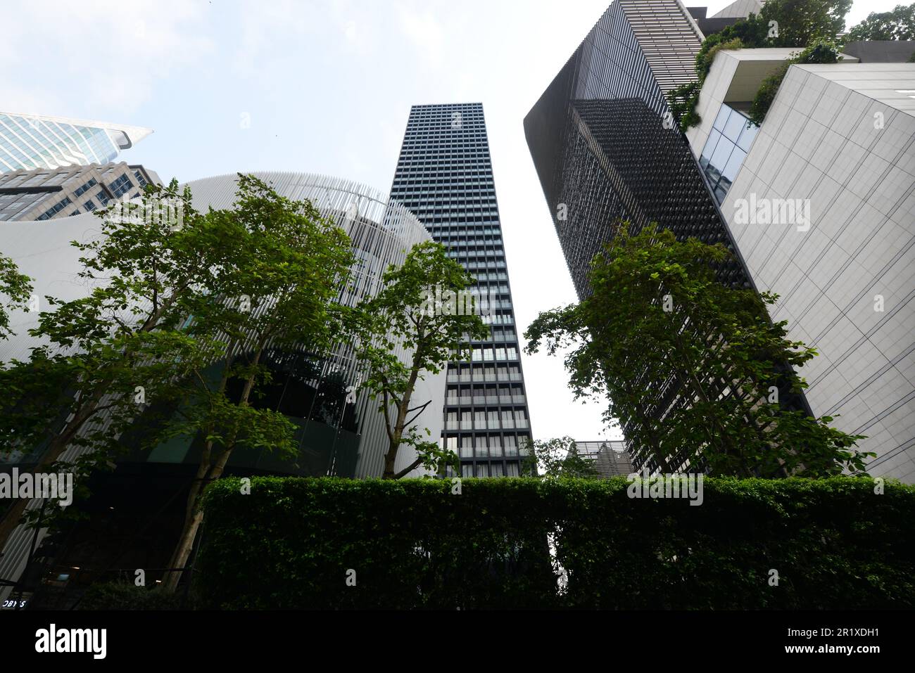 Noble ploenchit hi-res stock photography and images - Alamy