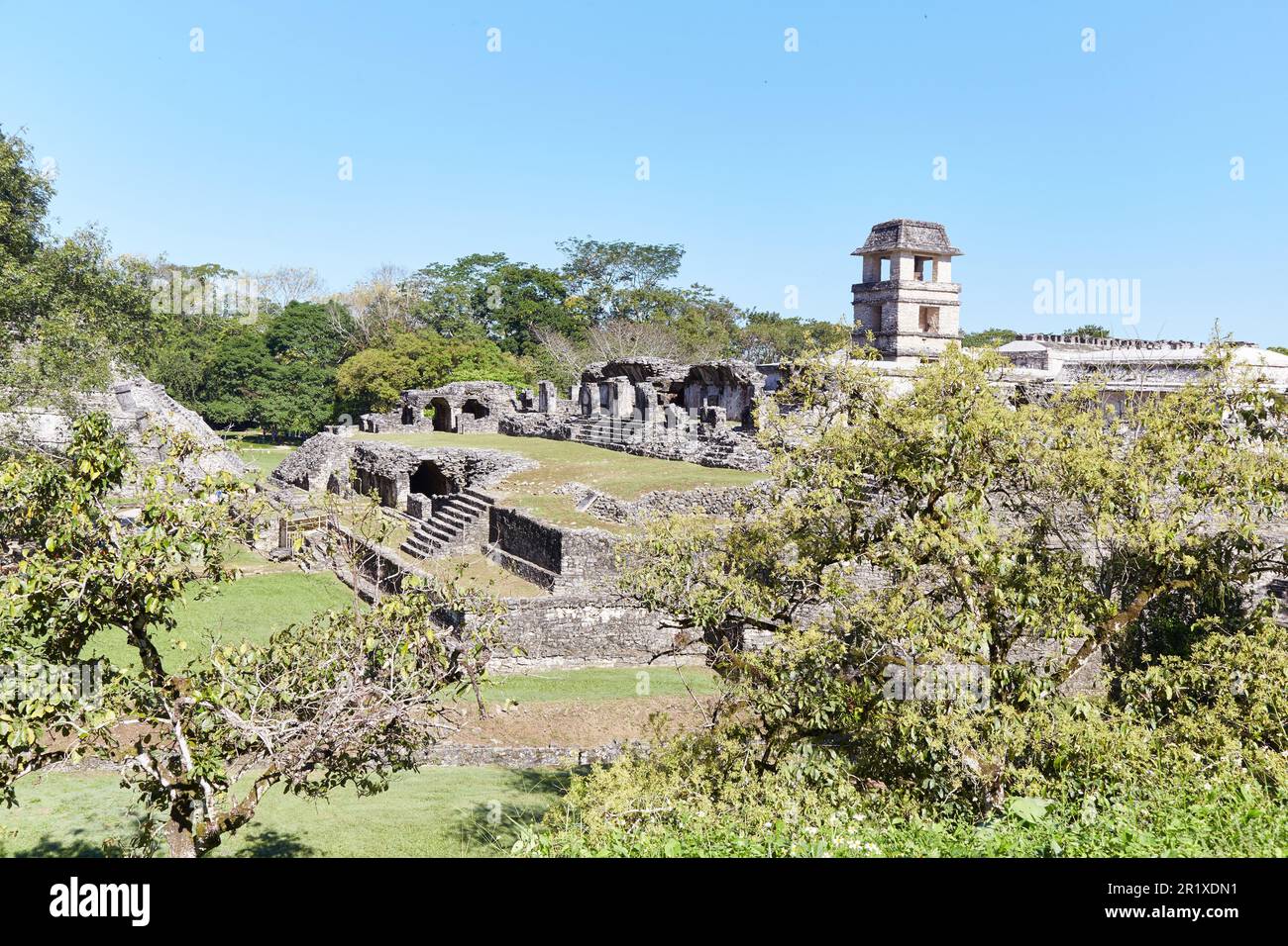 The stunning jungle ruins of Chiapas, Mexico was one of the greatest ...