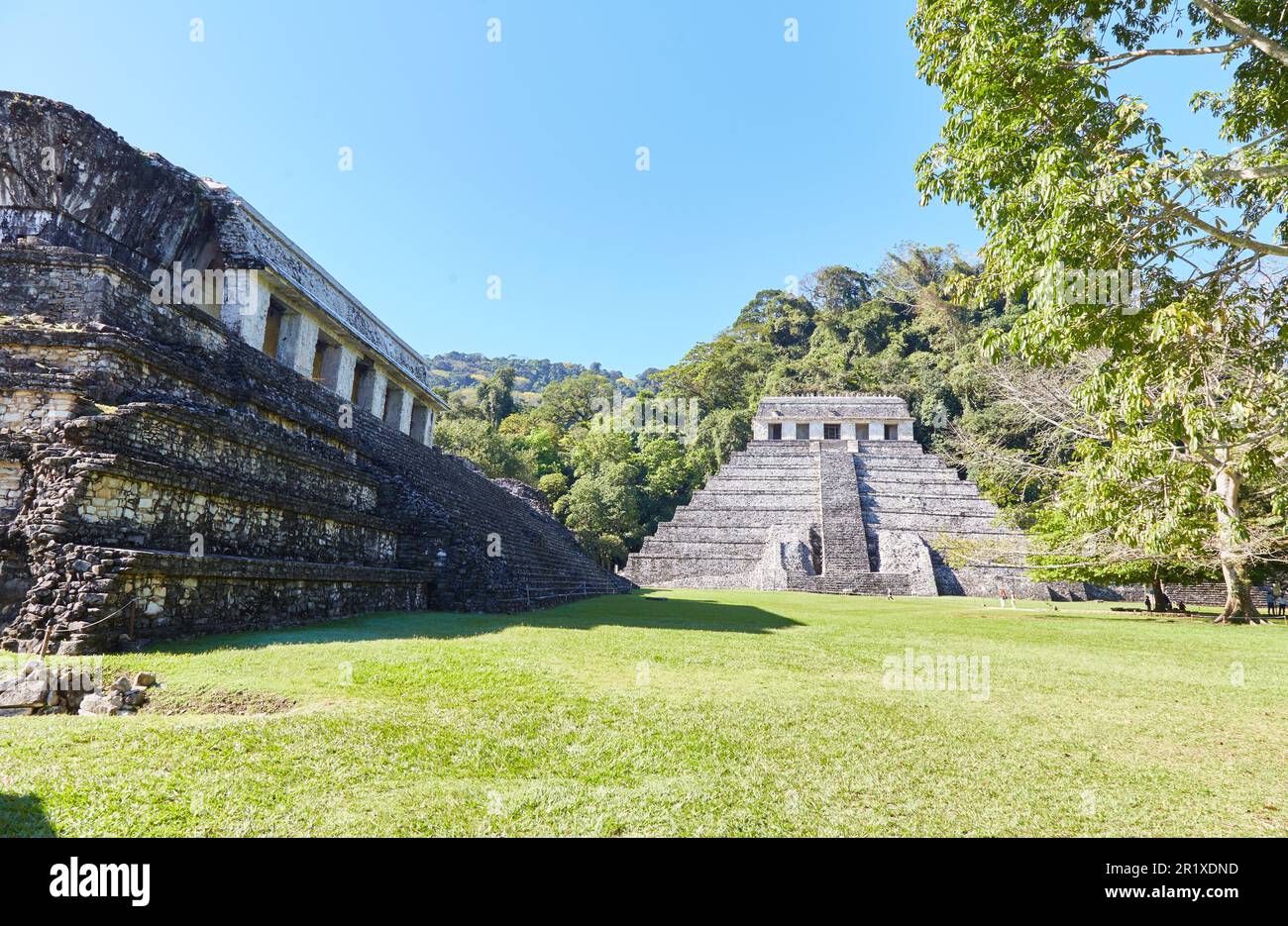 The stunning jungle ruins of Chiapas, Mexico was one of the greatest ...