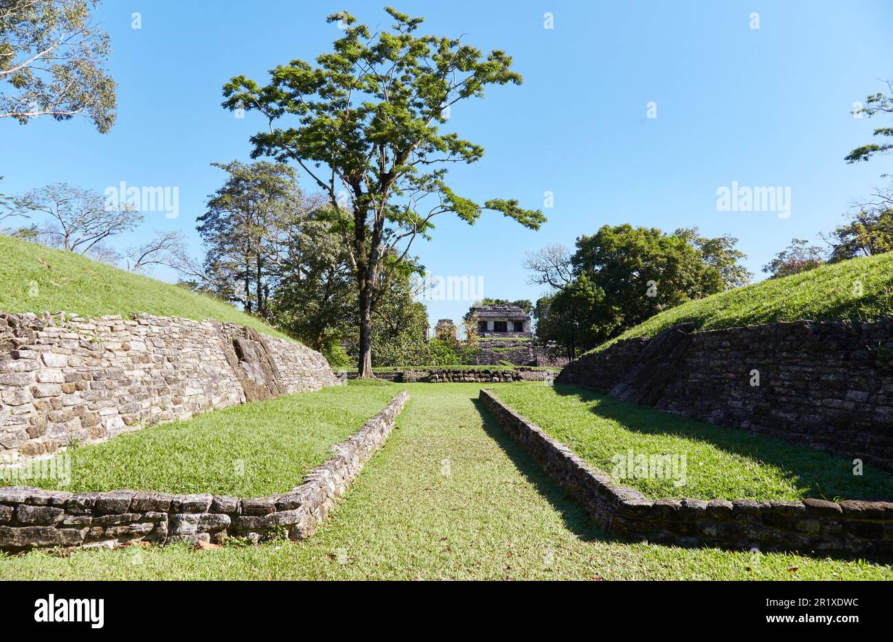 The stunning jungle ruins of Chiapas, Mexico was one of the greatest ...