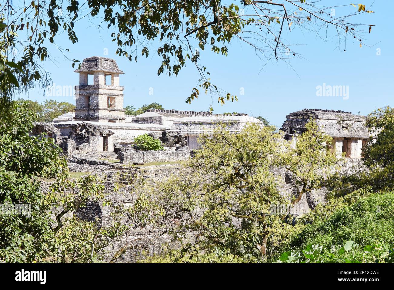 The stunning jungle ruins of Chiapas, Mexico was one of the greatest ...
