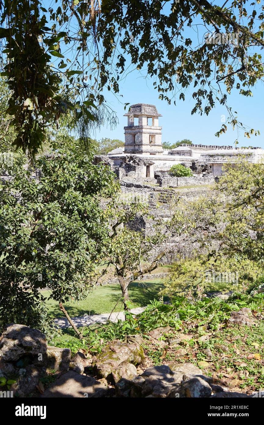 The stunning jungle ruins of Chiapas, Mexico was one of the greatest ...