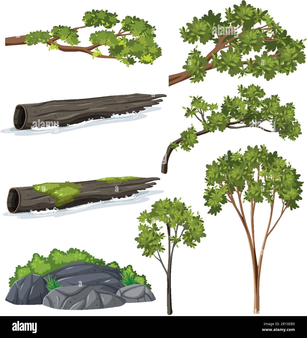 Diverse Trees Vector Set illustration Stock Vector Image & Art - Alamy