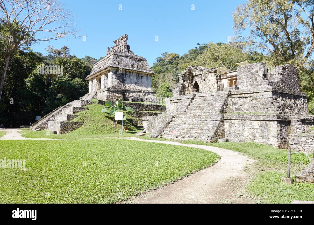 The stunning jungle ruins of Chiapas, Mexico was one of the greatest ...