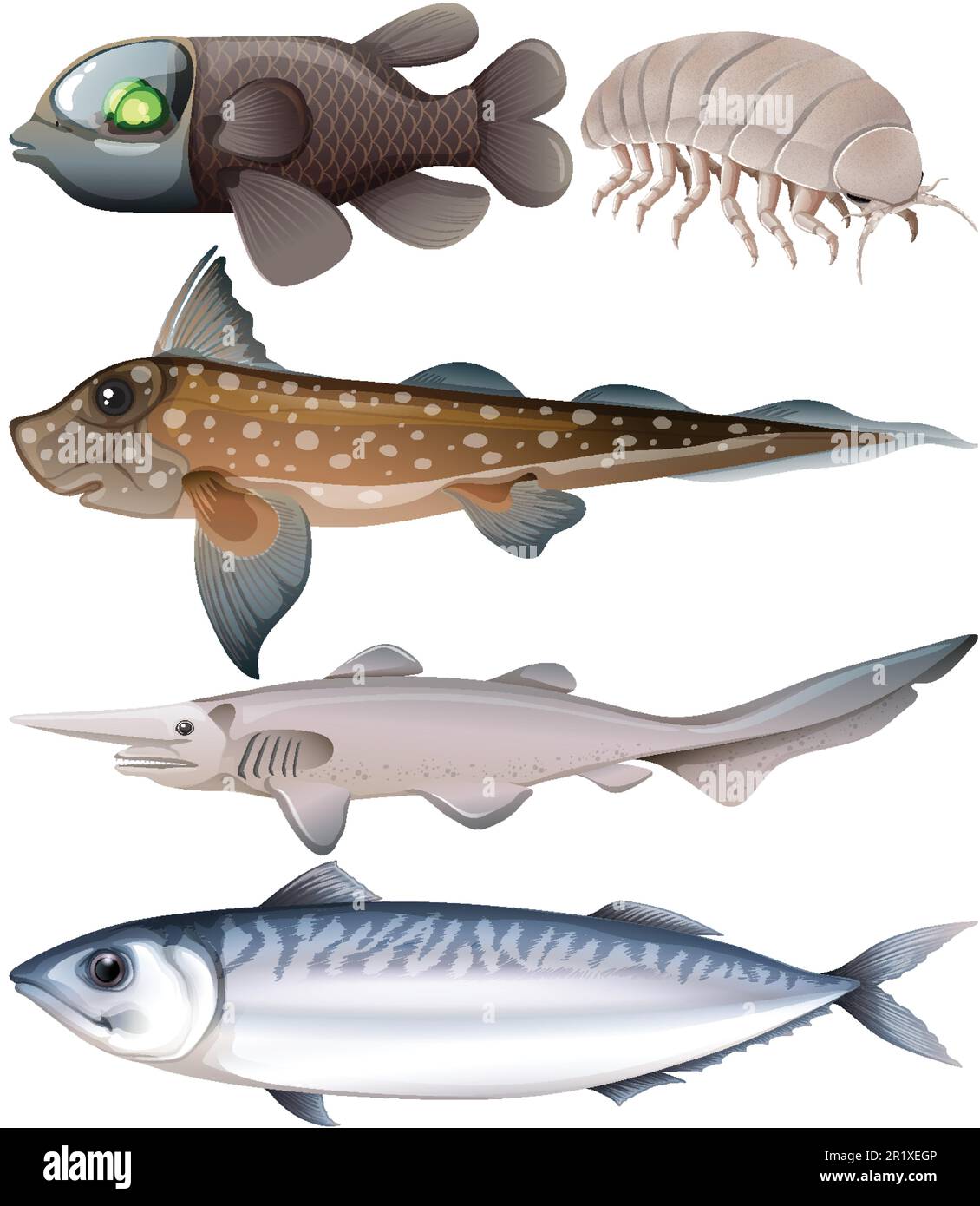 Underwater Creature Vector Set illustration Stock Vector Image & Art ...