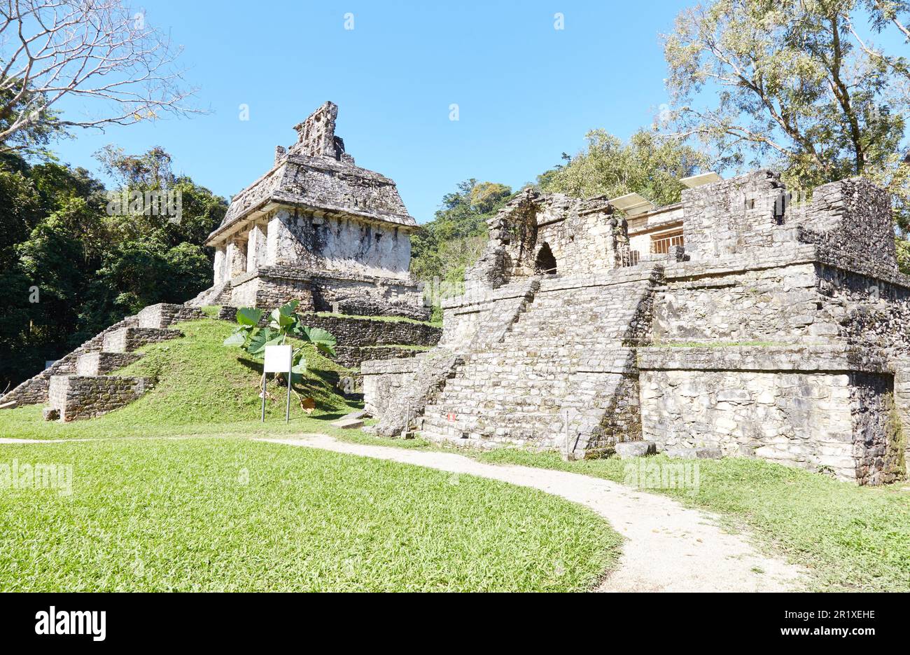 The stunning jungle ruins of Chiapas, Mexico was one of the greatest ...