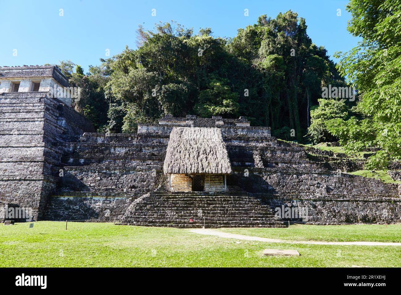 The stunning jungle ruins of Chiapas, Mexico was one of the greatest ...