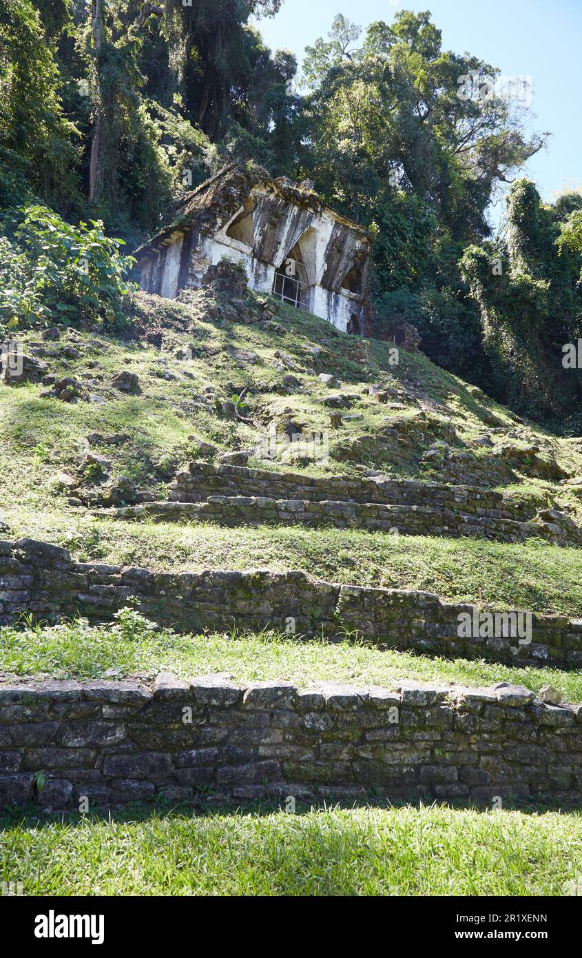 The stunning jungle ruins of Chiapas, Mexico was one of the greatest ...