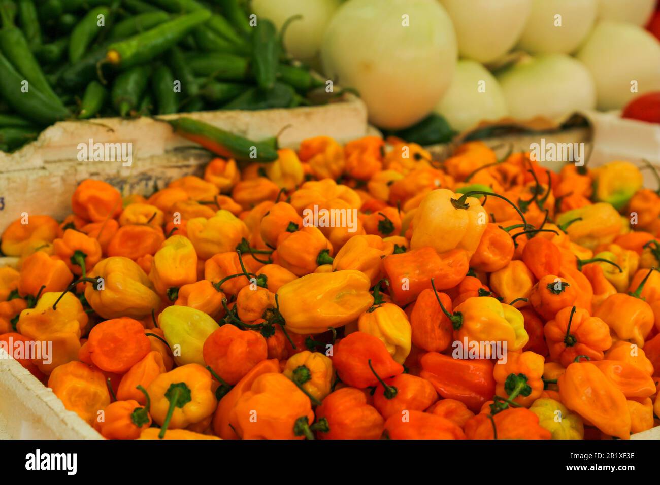 Chili cascabel hi-res stock photography and images - Alamy