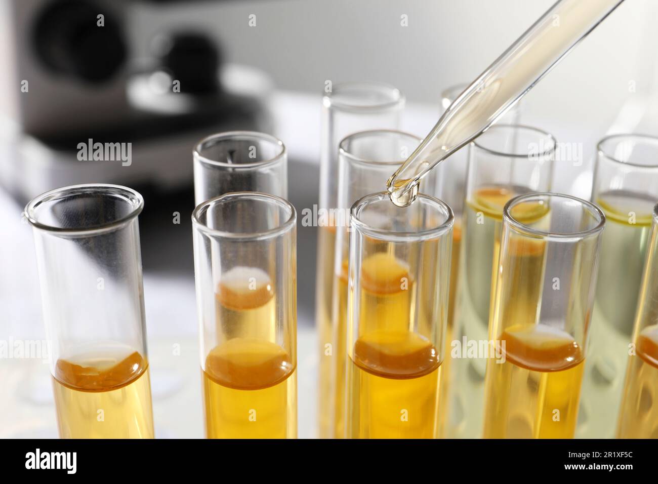 Dropping urine sample for analysis into tube in laboratory, closeup ...